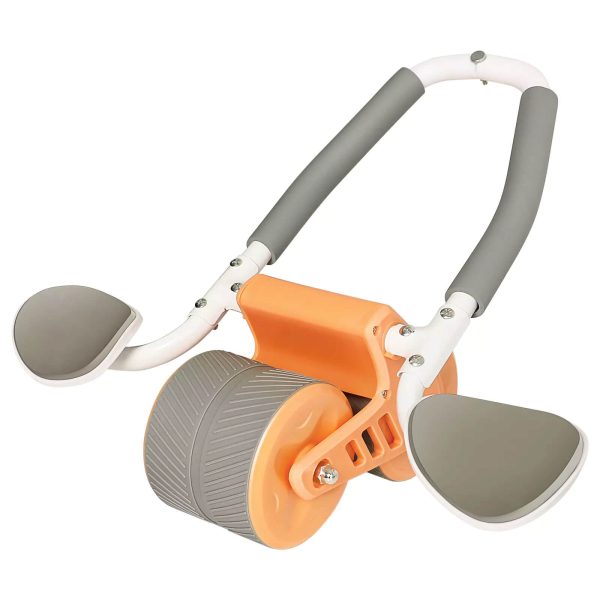 The Best AB Roller Buying Guide from Leeton in 2024 – Nantong Leeton ...
